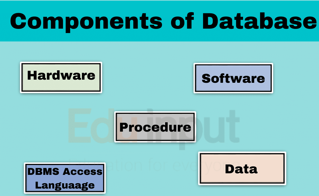 Components Of Database