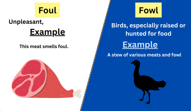 Foul vs. Fowl-Difference between and example