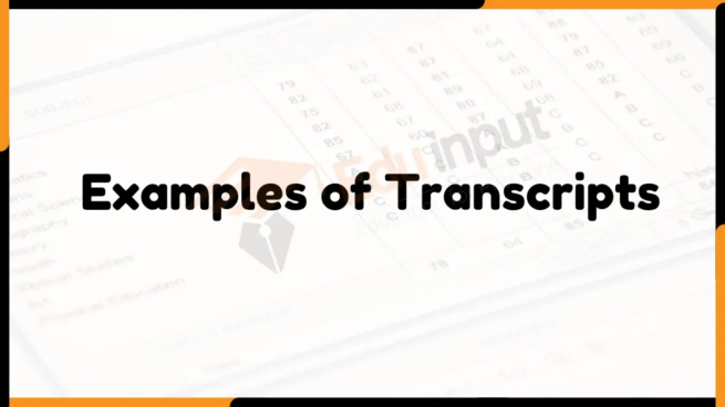 20 Examples of Transcripts