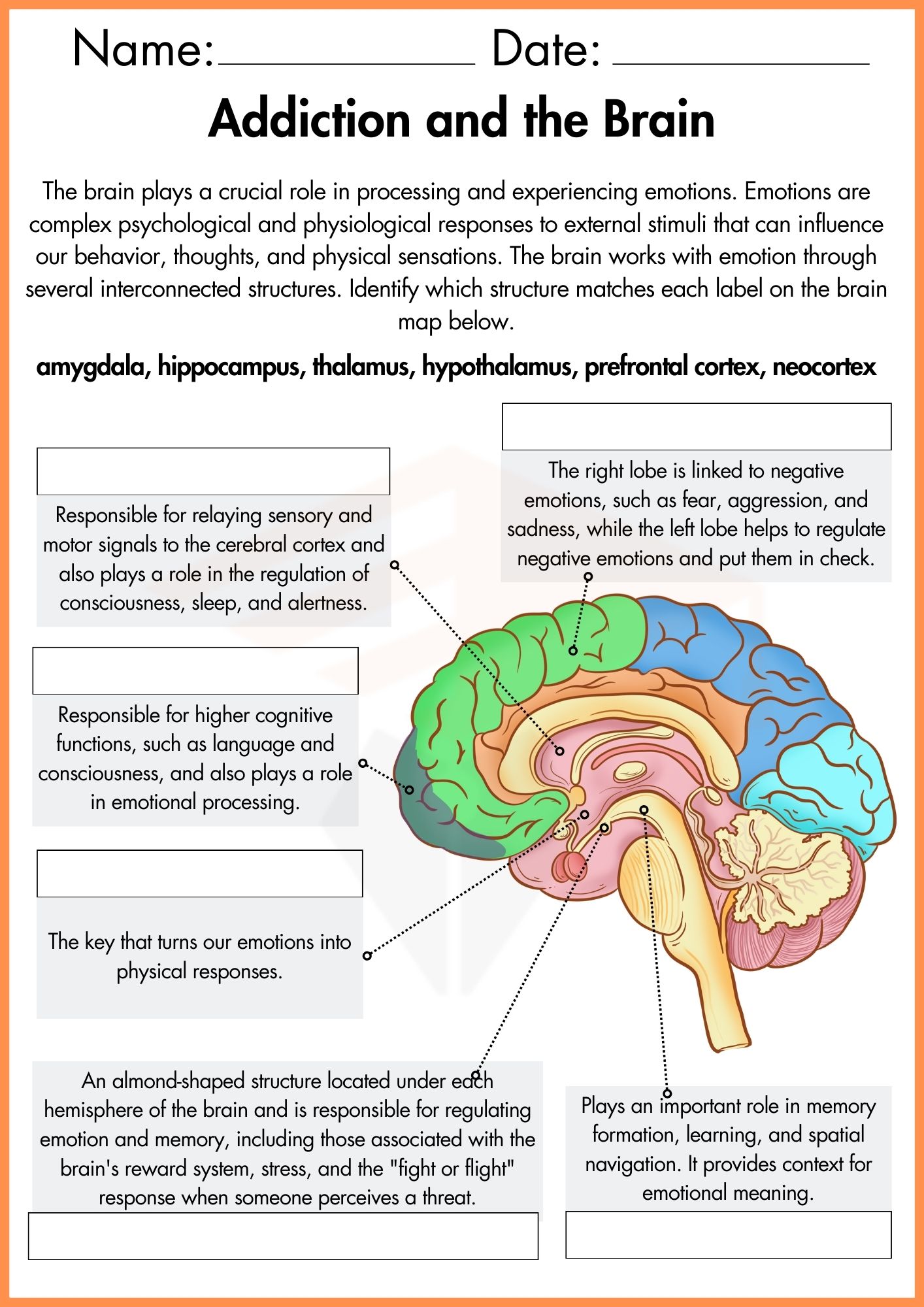 Addiction and the Brain worksheet